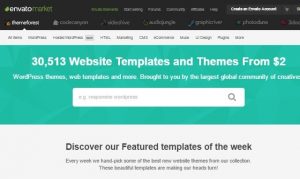 Top WordPress Theme Providers Reviewed & Compared for 2025