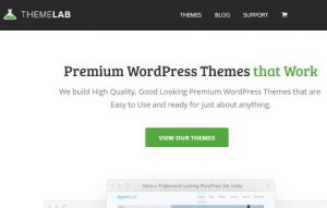 Best WordPress Themes Providers 2025 (#1 For Lifetime Access)