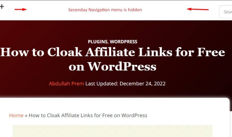How to Hide Navigation Menu in WordPress Page: 2025
